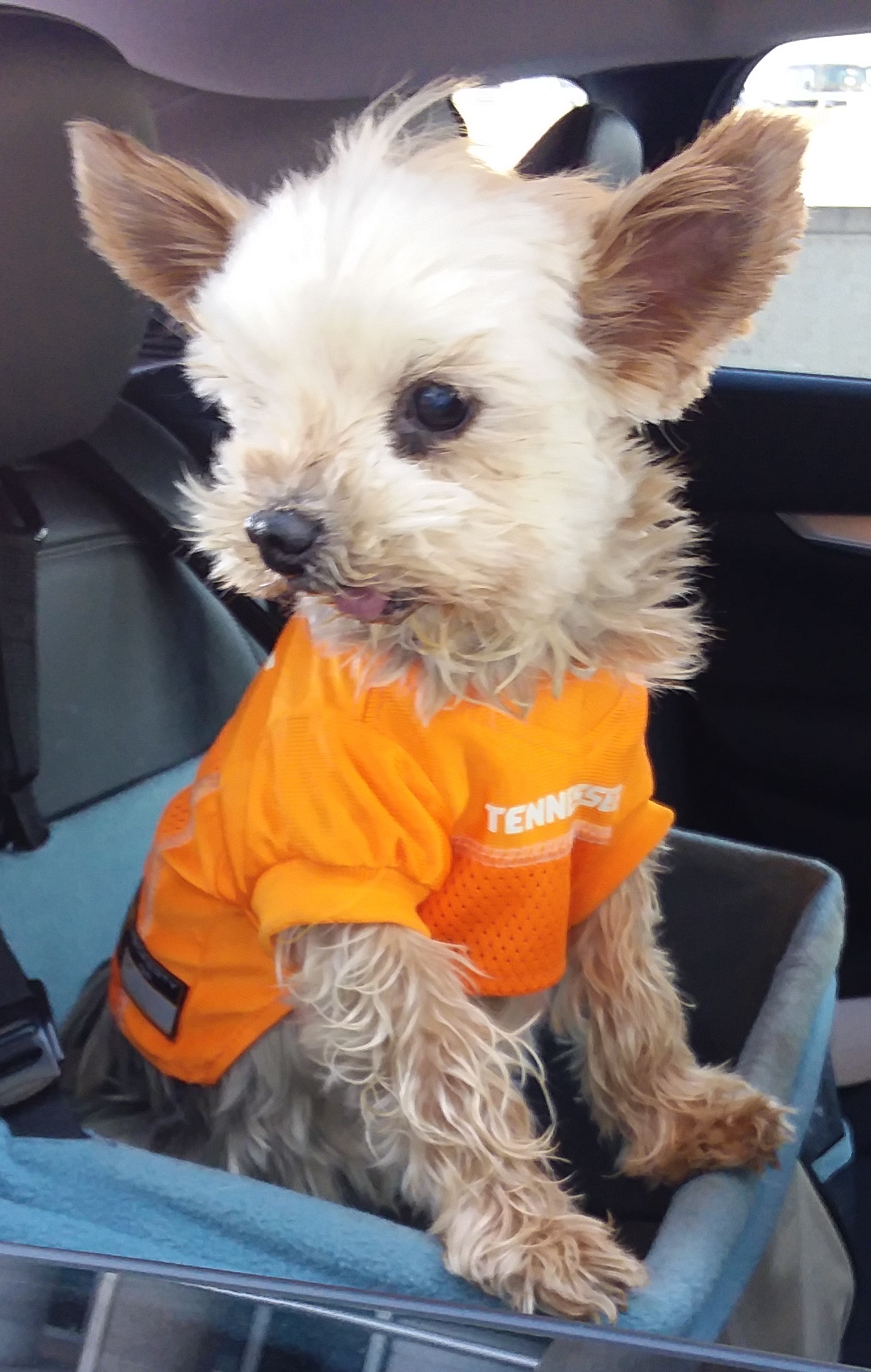 HE IS FOREVER WITH ME – Surviving and Thriving after Sexual Abuse